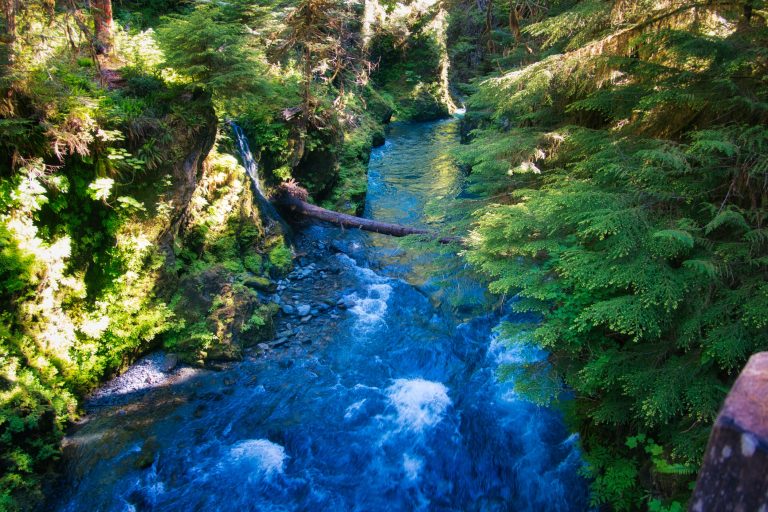 Enchanted Valley