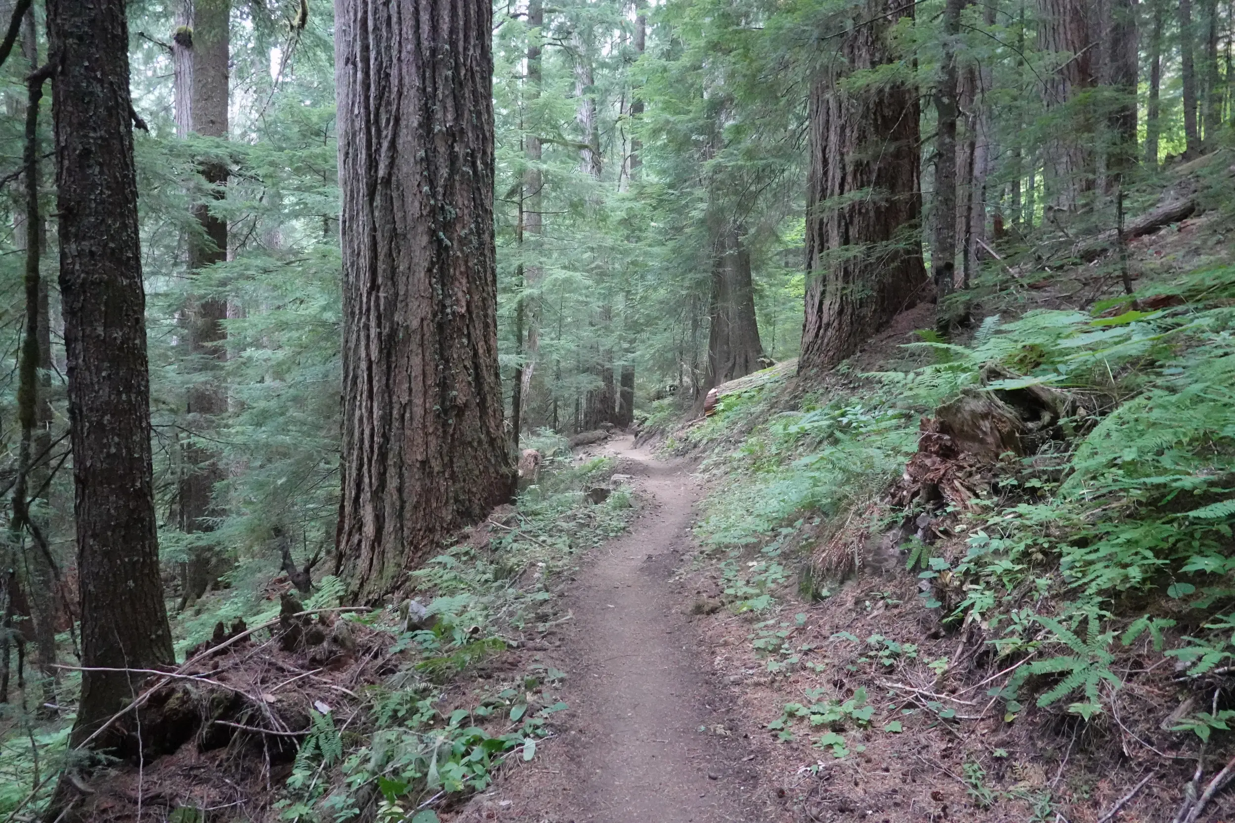Pacific Crest Trail Day 140 Darrington Roadwalk - Yeti Hikes