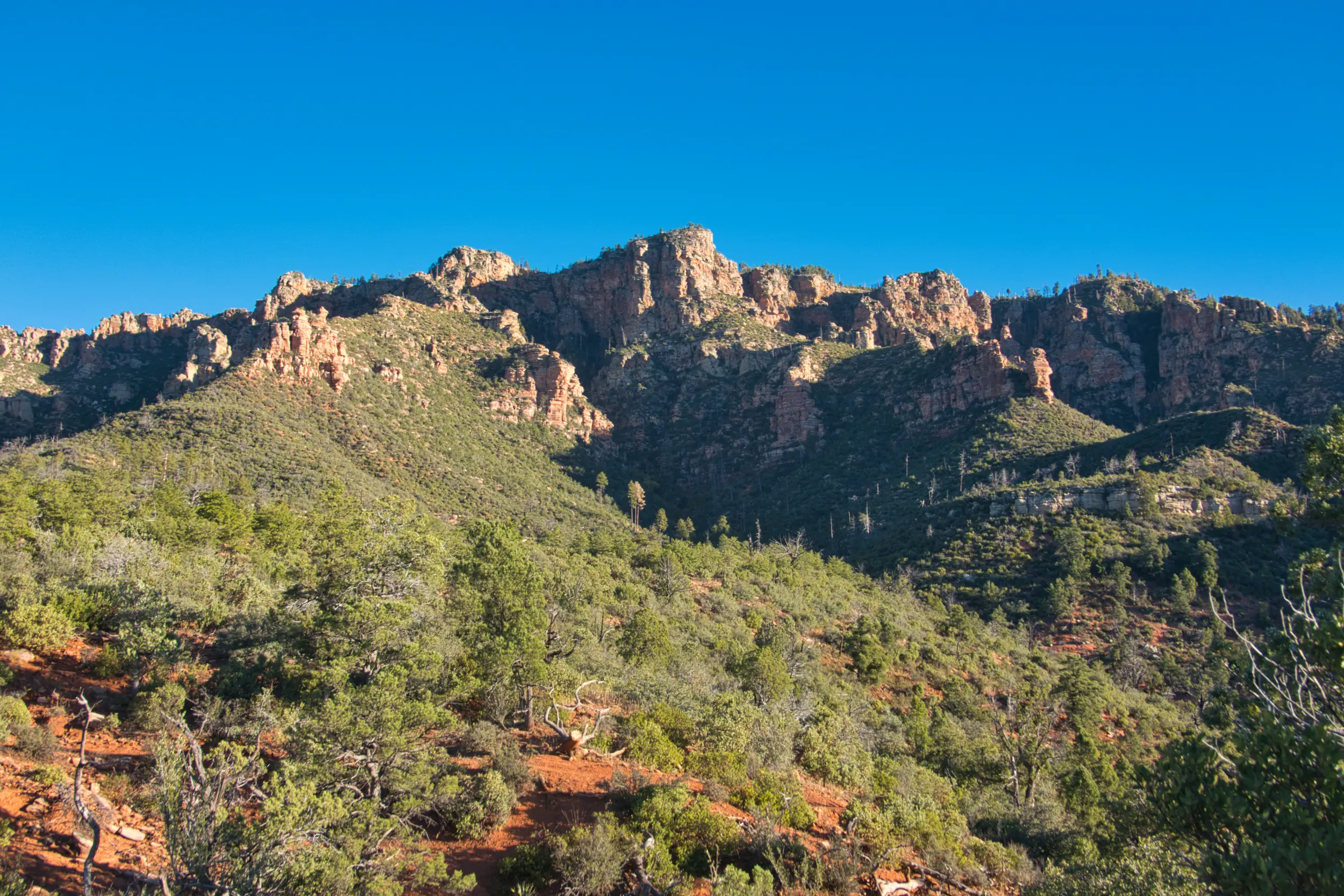 Arizona Trail Day 19 - Yeti Hikes